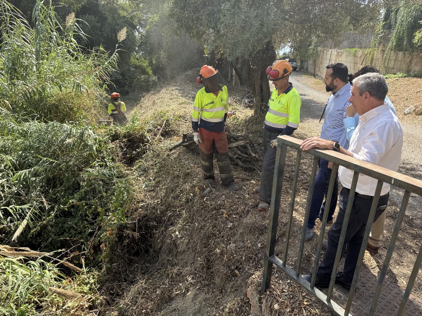 El concejal Juan Olea hace balance sobre los trabajos de desbroce en el ...